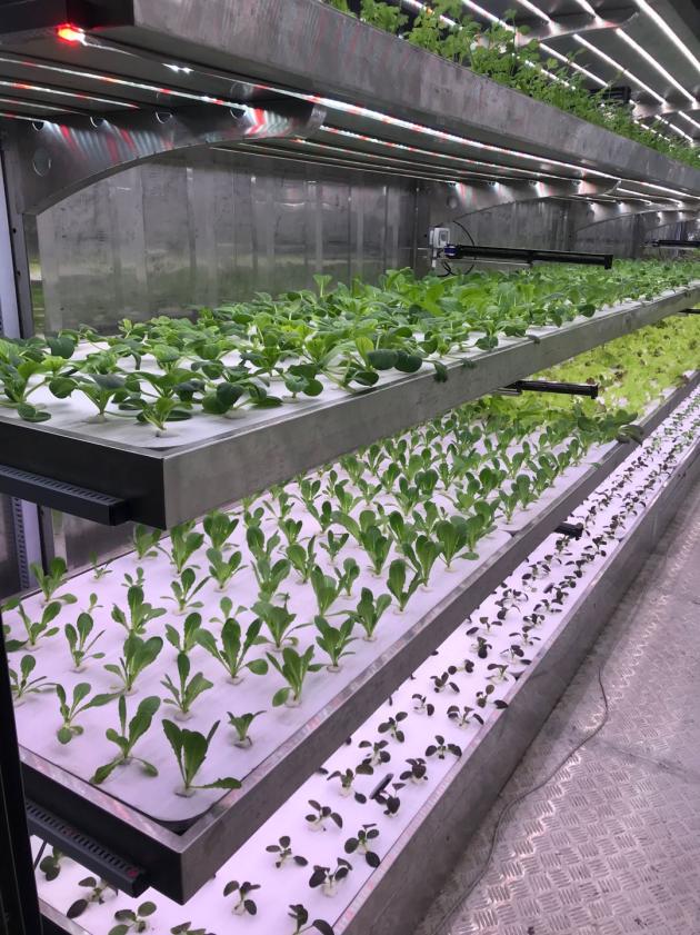 - Buy CONTAINER PLANT FACTORY from Qingdao Hanzhuo Industry Co., Ltd.